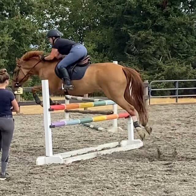 Can mustangs jump? | The Horse Forum